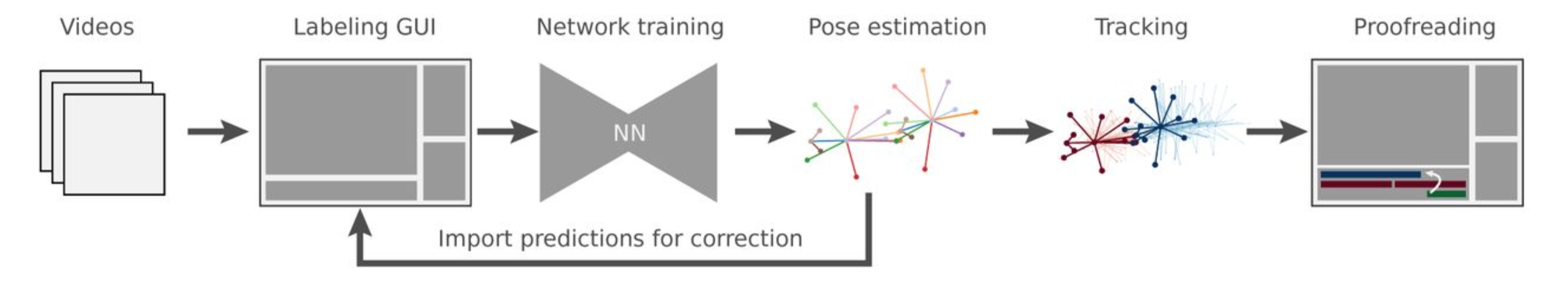 Overview - SLEAP Documentation